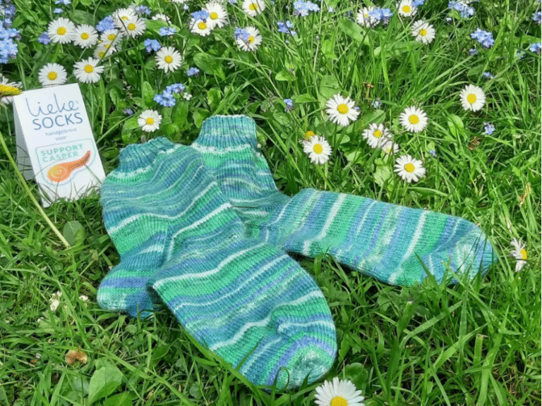 Home - Shop - Support Casper